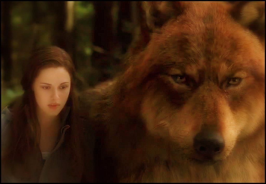 Screencaps de Jacob en Forma de Lobo con Bella « Diario Twilight