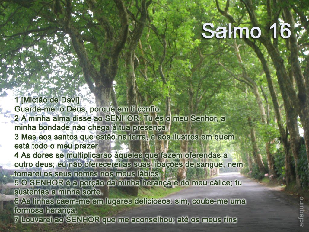 Salmos: Salmo 16