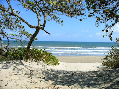 The (real) Mosquito Coast | La Gringa's Blogicito