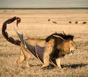 The Wind Rider: The Wind Rider