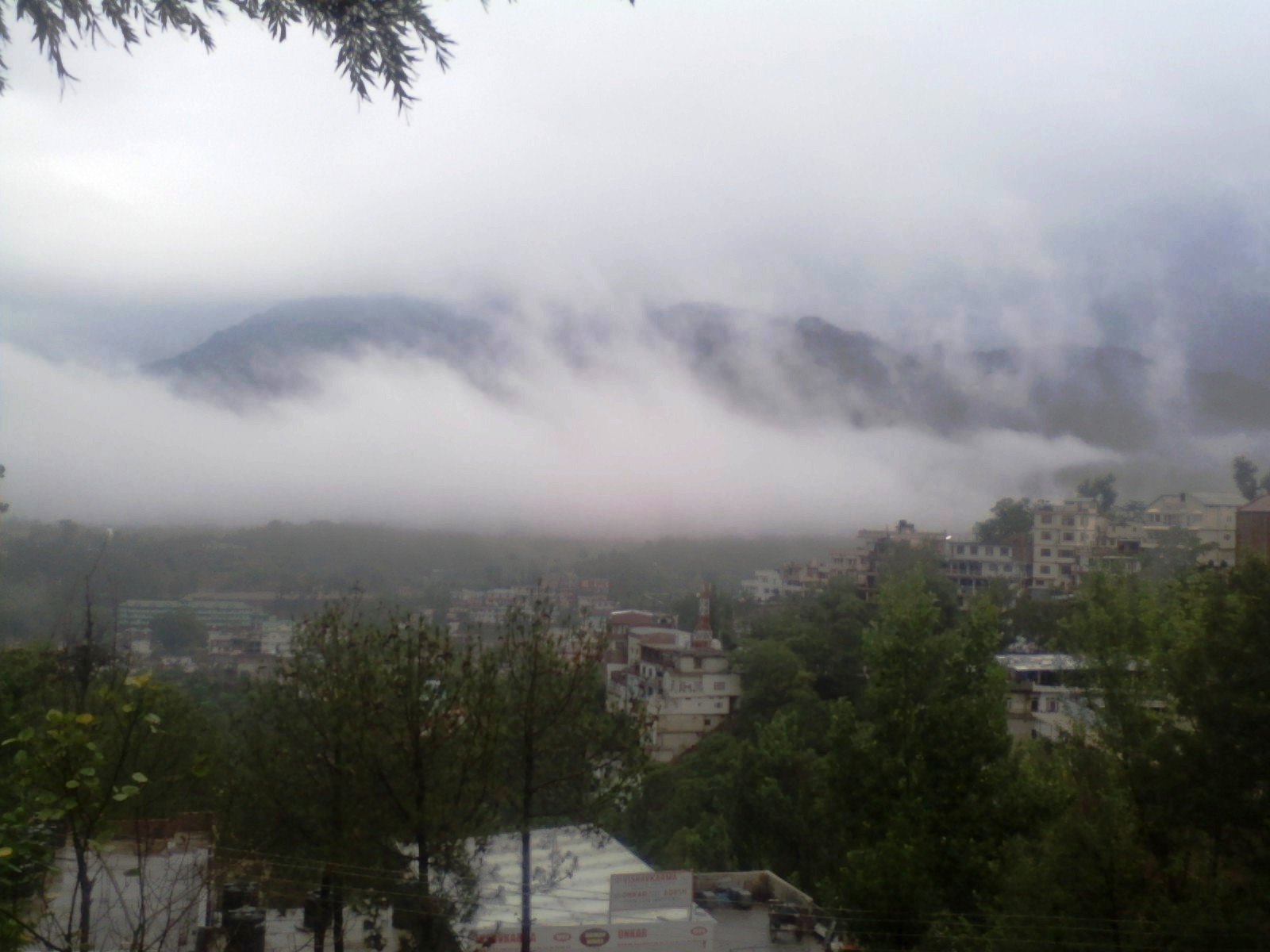 Solan - JungleKey.in Image