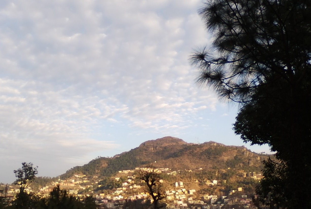 Solan - JungleKey.in Image