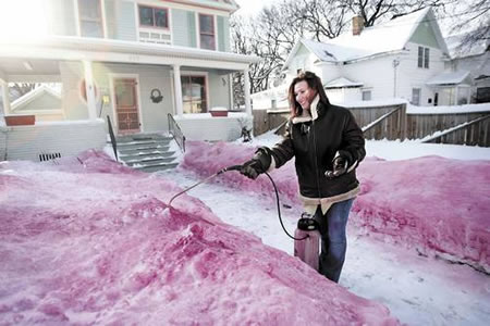At home with Elaine: PInk snow and a chipmunk