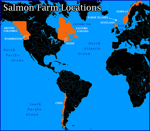Water and Food: Salmon Farms