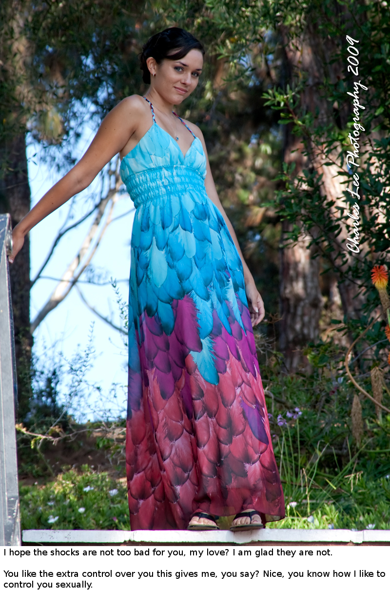 Chastity Fantasies of an Obsessive Copier