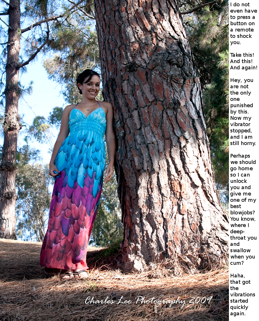 Chastity Fantasies of an Obsessive Copier: Sexual technology