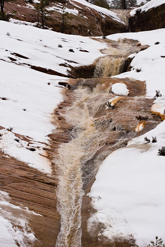 365 Days in Zion: Day 106: January 9, 2005 - Flash Flood
