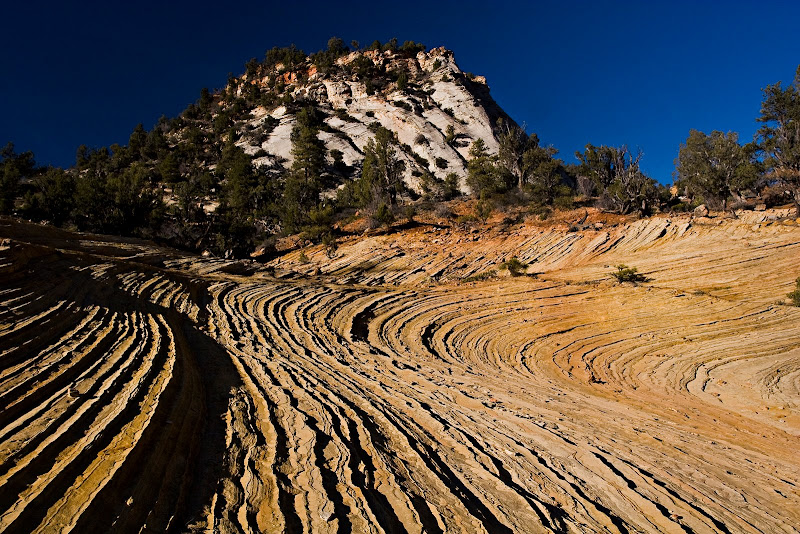 365 Days in Zion: Day 167: March 11, 2005 - Wavy Rocks