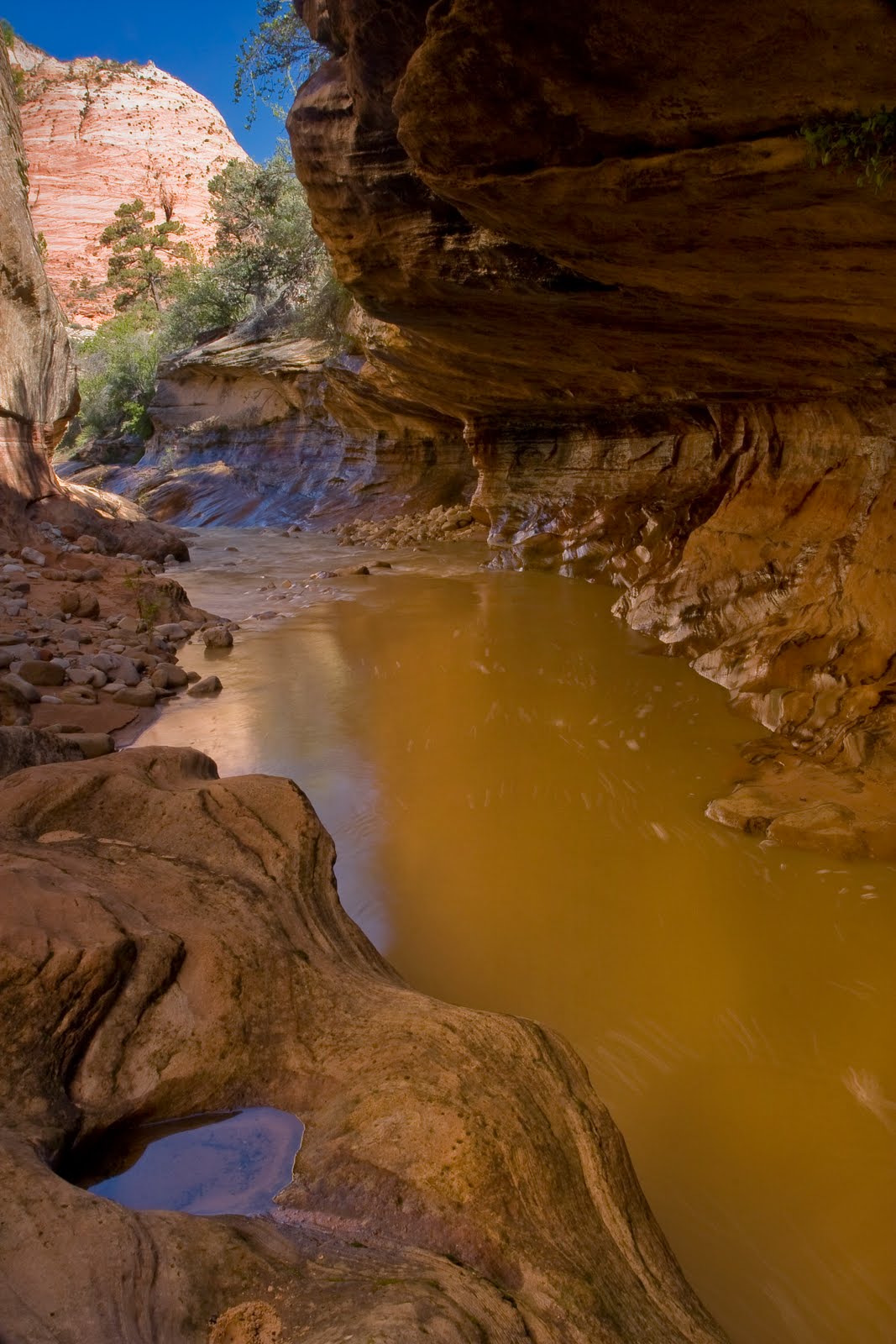 365 Days in Zion: May 2010