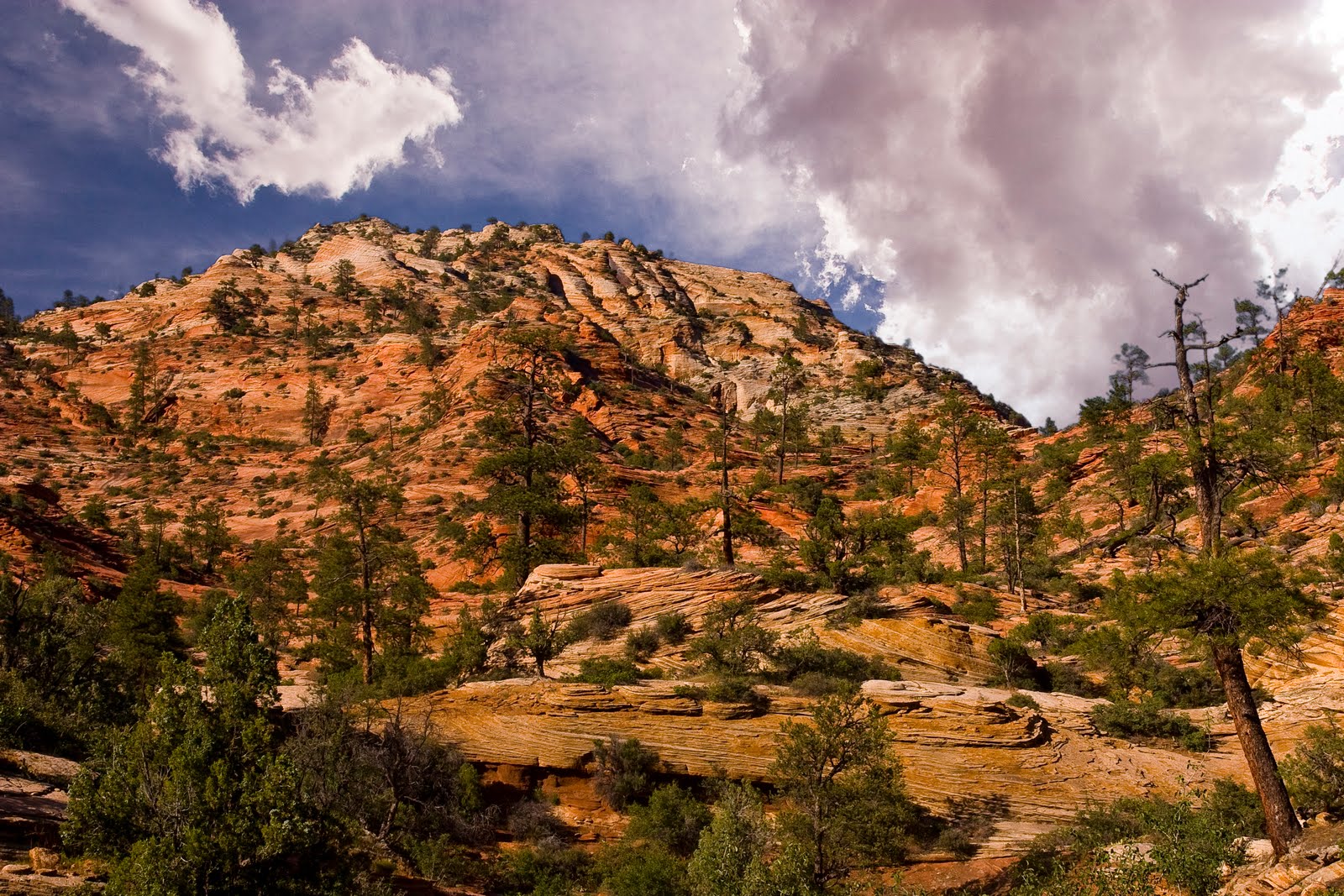 365 Days in Zion: May 2010