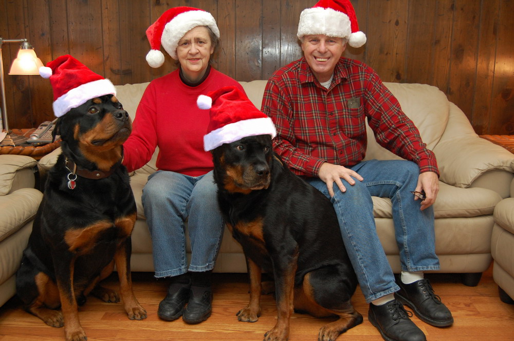 Living with Rottweilers: Wishing all our Rottweiler fans a very Merry ...