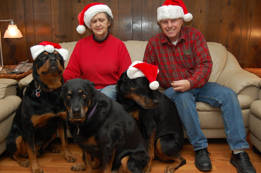Living with Rottweilers: Wishing all our Rottweiler fans a very Merry ...