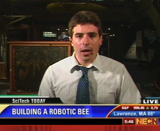 RoboBees: A Convergence of Body, Brain, and Colony