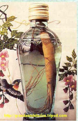 CIGANOS NA UMBANDA: IMAGENS DE CIGANAS