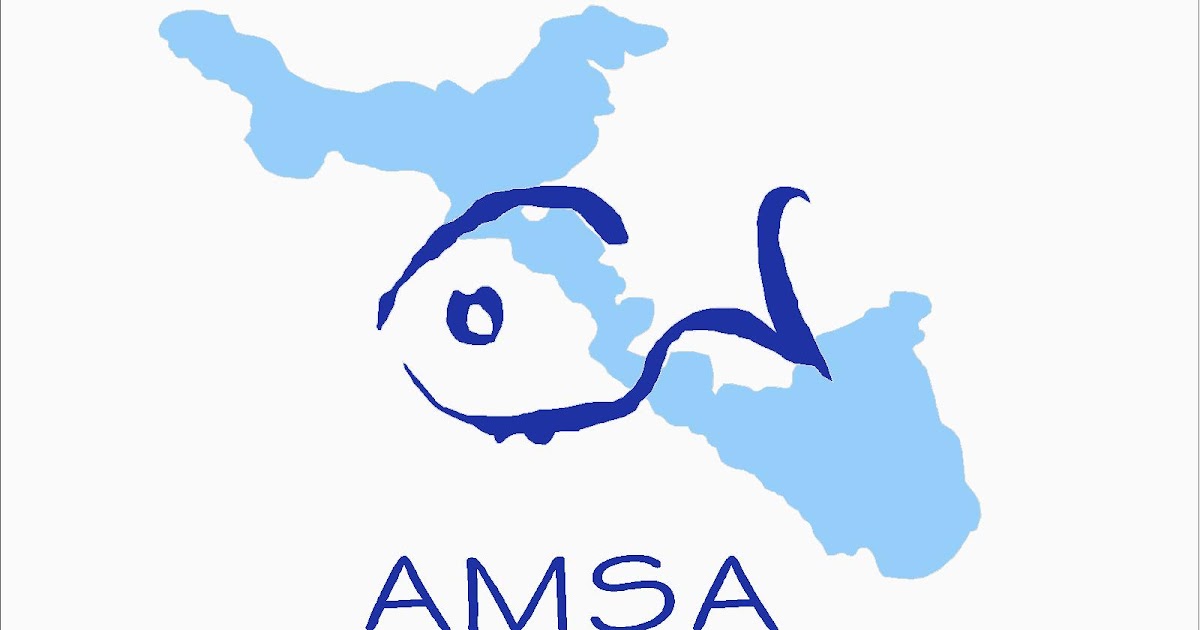 Rescatando el Lago de Amatitlán: QUE ES AMSA