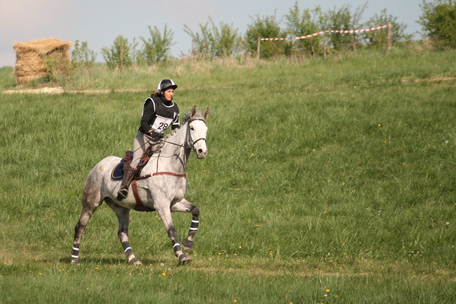 Photos souvenirs: Equitation CCE Tours