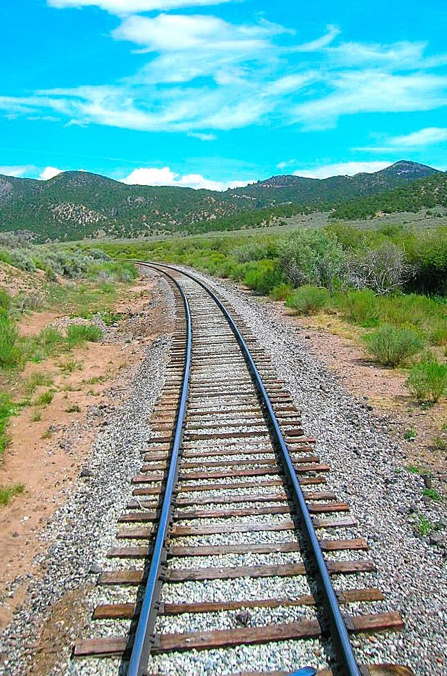 Photography by William T. Beverly, Ph.D.