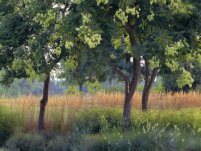 Webshots' - Scenery_19 Wallpapers Free Download || Nature Desktop Images