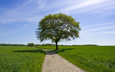 Beautiful Roadways - Where it Leads?