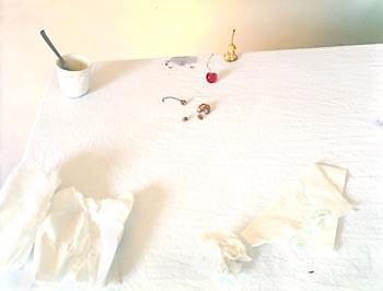 GREY LEMON: Laura Letinsky