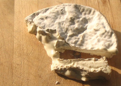 Aged Camembert - Tasting | The Mad Fermentationist - Homebrewing Blog