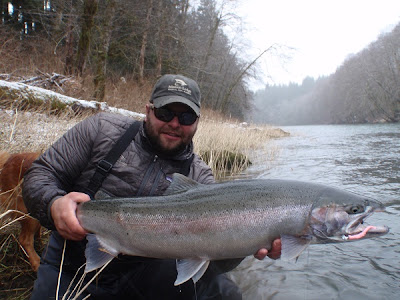 Muskegon River Guide.com: Sol Duc River Steelhead