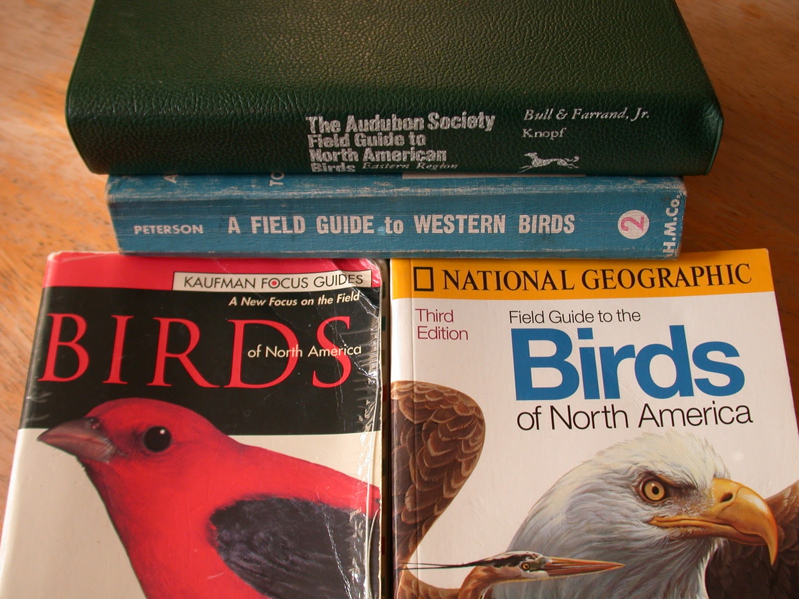 Rurification | Robin Edmundson: Bird Guides