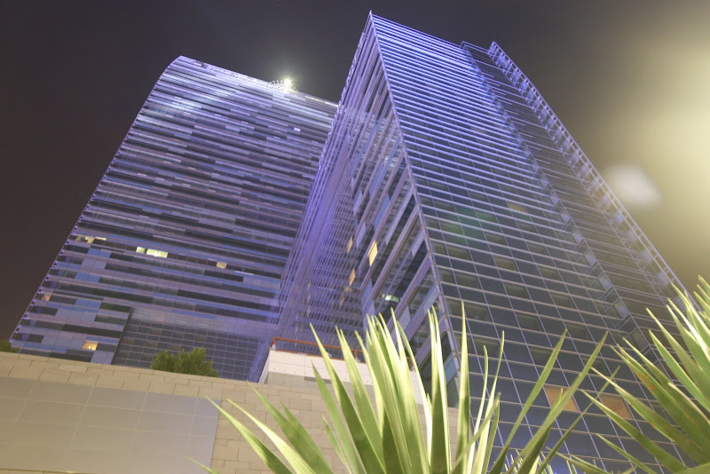 November 2009 - victoria's photo diary