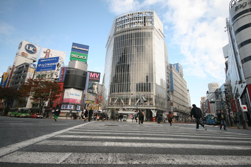 November 2009 - victoria's photo diary