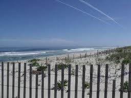 Jersey Shoreee