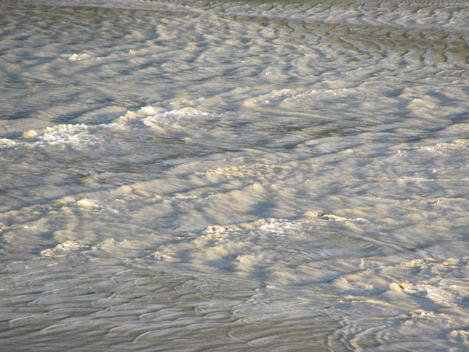 ACLHANDWEAVER: Tides and Textures, Waves and Wanderings...
