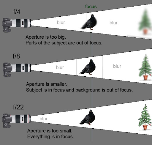 ezhan-artwork: photography: "Aperture"