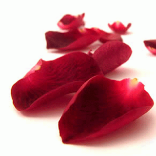 Thelma´s Blog: Pétala