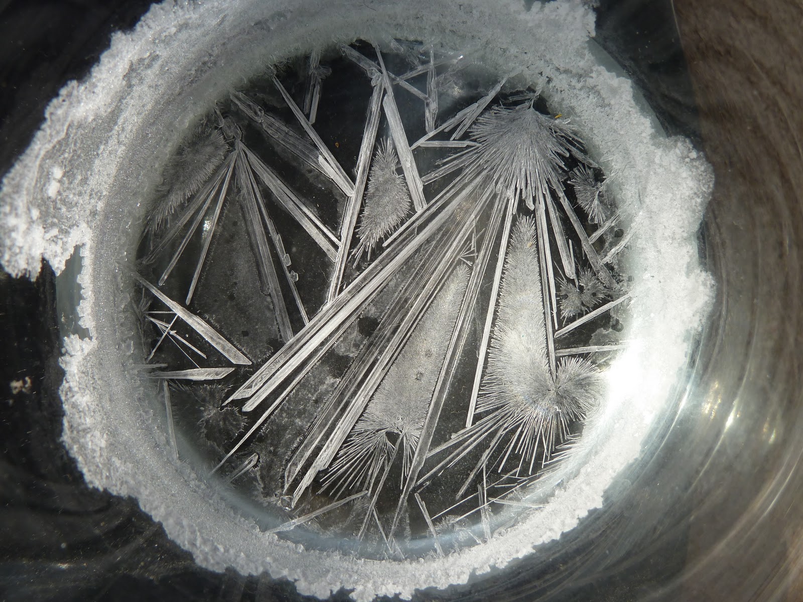 Organic Sulfur: The Cellular Matrix Study of Organic Sulfur