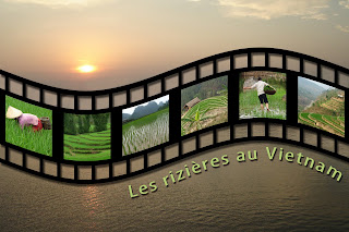 imageseleves