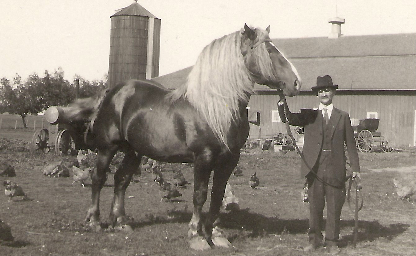 Waxing and Waning - The Cousin Connection: Rob McAdam and His Horses ...