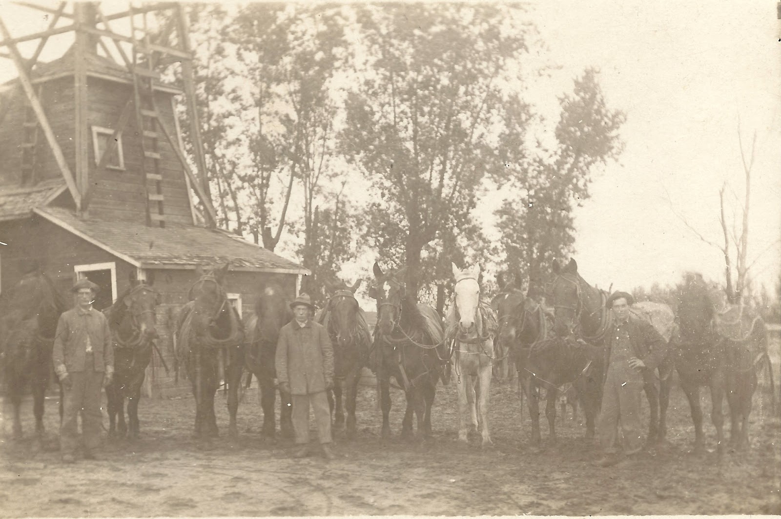 Waxing and Waning - The Cousin Connection: Rob McAdam and His Horses ...