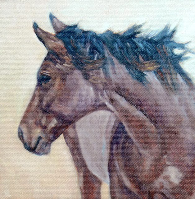 Asaz flora y fauna: Ruth Andre, caballos, fauna