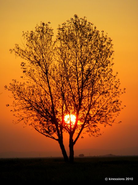 kinexxions: Sunset at Allensworth