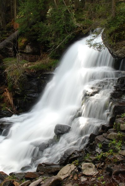 viata in imagini: rauri de munte