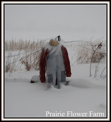 Prairie Flower Farm: Snow today...........lots of it! Beautiful!