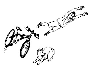 Física 2°B: CONCEPTO DE INERCIA