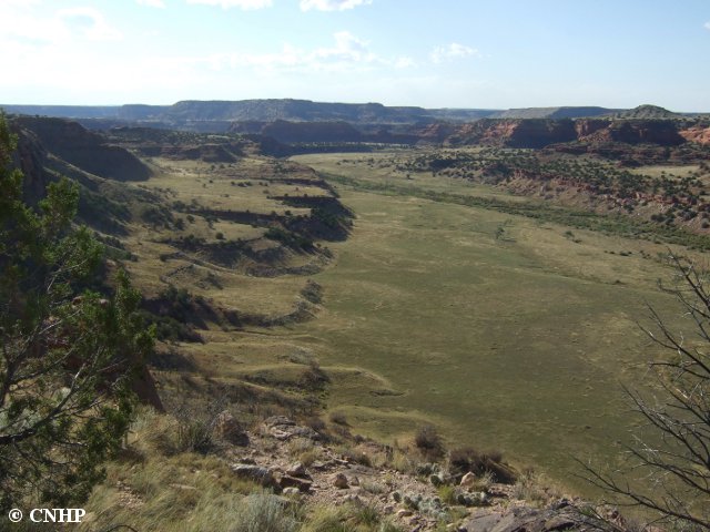 CNHP Blog: SE Colorado Canyonlands BioBlitz in June