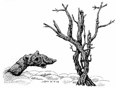 Arte della Natura: ANIMALI DEFORMI E MOSTRI INQUIETANTI: è la Natura ...