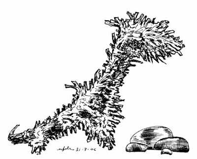 Arte della Natura: ANIMALI DEFORMI E MOSTRI INQUIETANTI: è la Natura ...