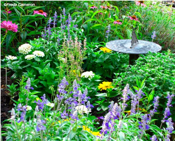 Defining Your Home, Garden and Travel: Flowers Surround the Sundial