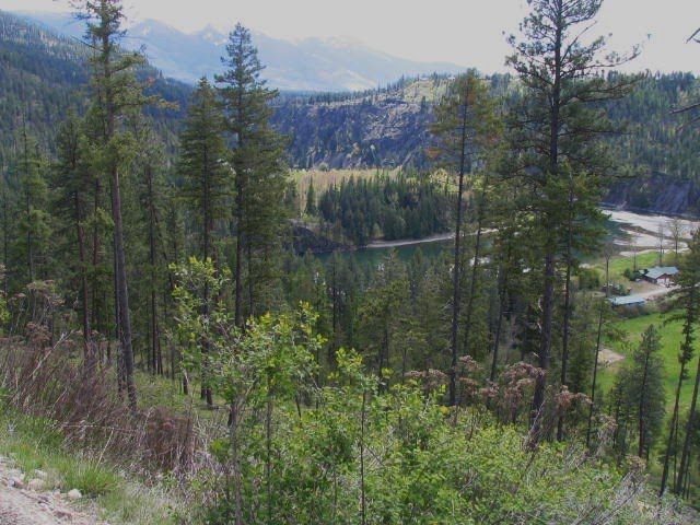 The Bear Facts: Scenes around Twin Rivers Resort