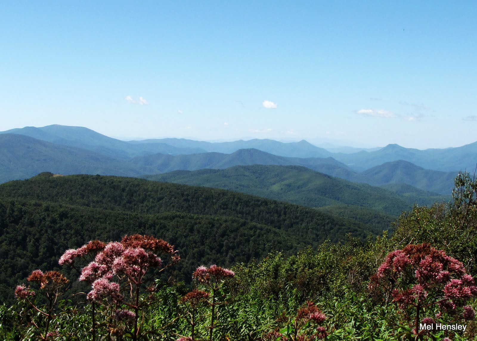 Tennessee Rambler: Unaka Mountain Overlook
