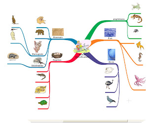 Valerie's Uni Blog: Week 1 - Mind and Concept Maps