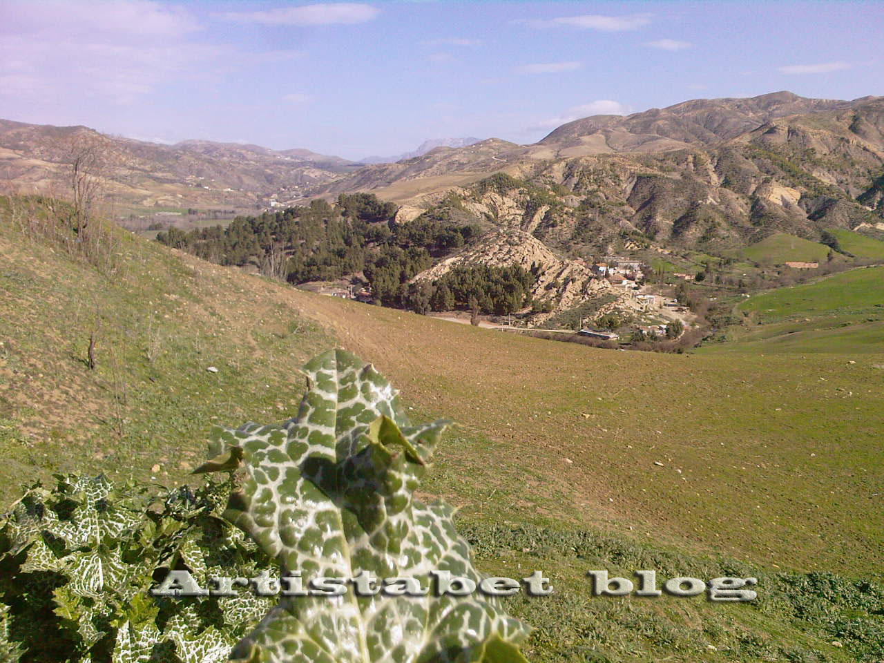 Bougaa, Setif, Algérie. N.E.W.S